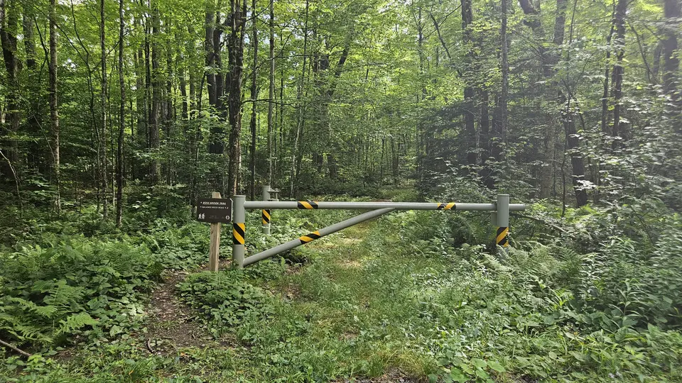 Ross Brook Trailhead - East in Savoy, MA | Berkshires Outside