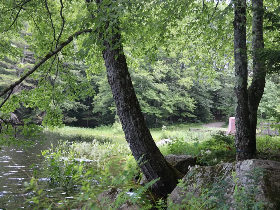 Upper Spectacle Pond in Sandisfield, MA | Berkshires Outside