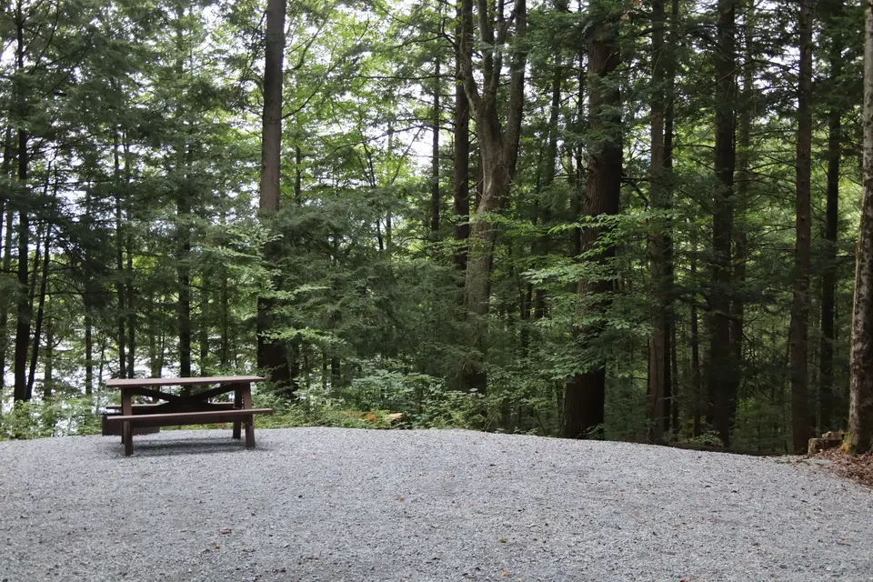 Clarksburg State Park Campground in Clarksburg, MA | Berkshires Outside