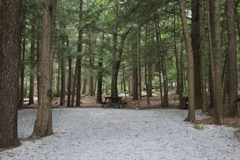 Clarksburg State Park Campground in Clarksburg, MA | Berkshires Outside