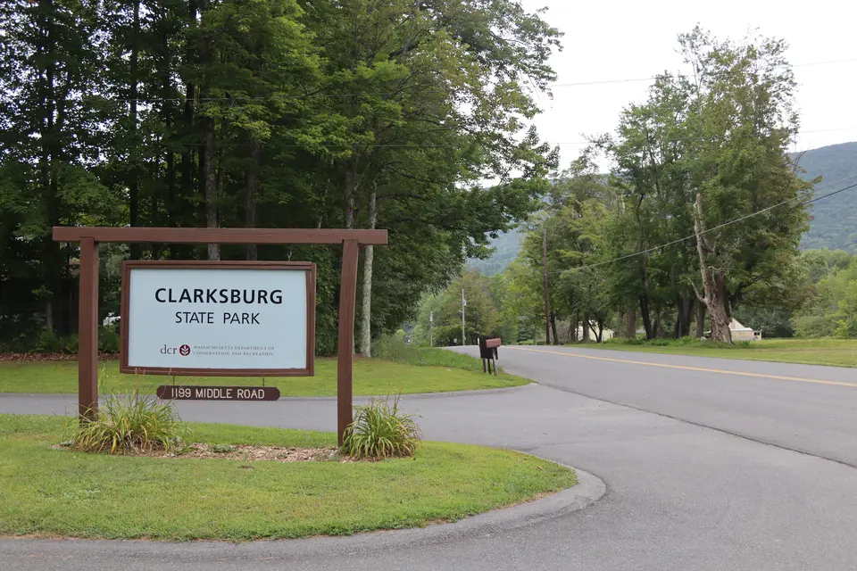 Clarksburg State Park Campground in Clarksburg, MA | Berkshires Outside